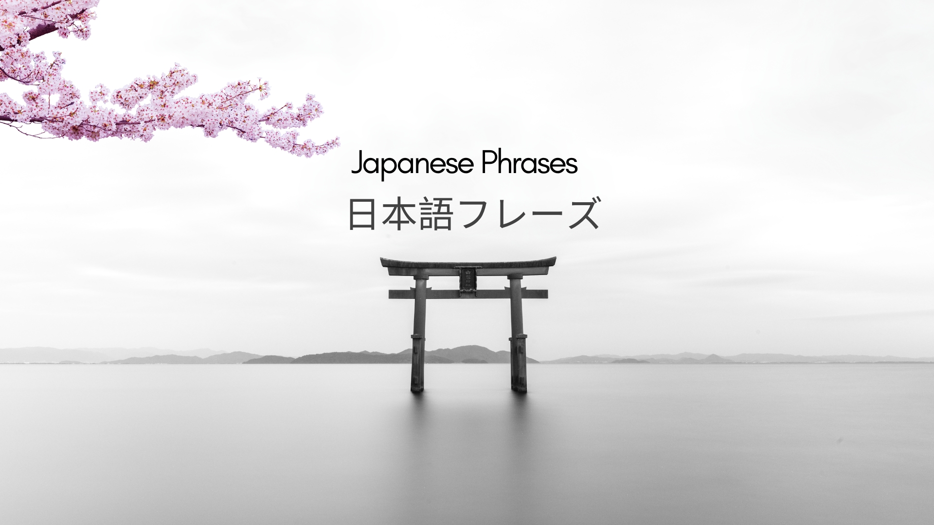 Most Useful Japanese Phrases for Tourists – You Could Travel