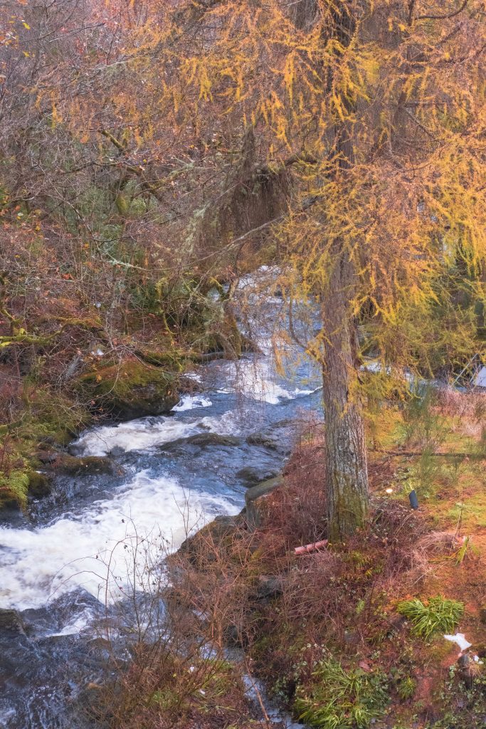 An exceptional holiday in Loch Tay – You Could Travel
