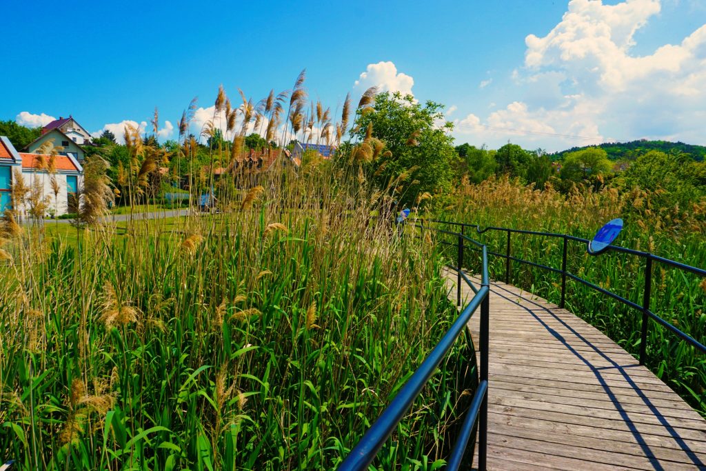 What Is The Best of Tihany – You Could Travel