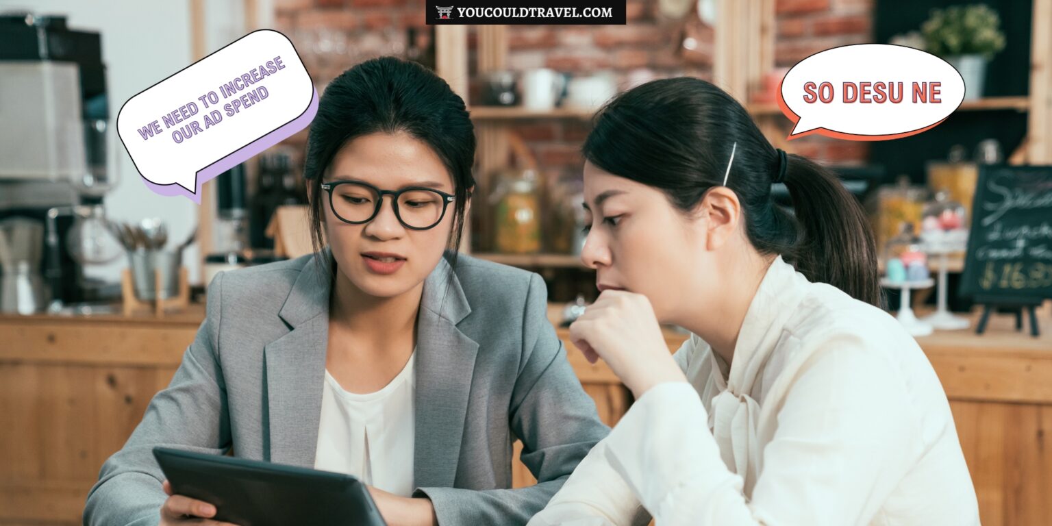 So Desu Ne – What does it mean in English – You Could Travel