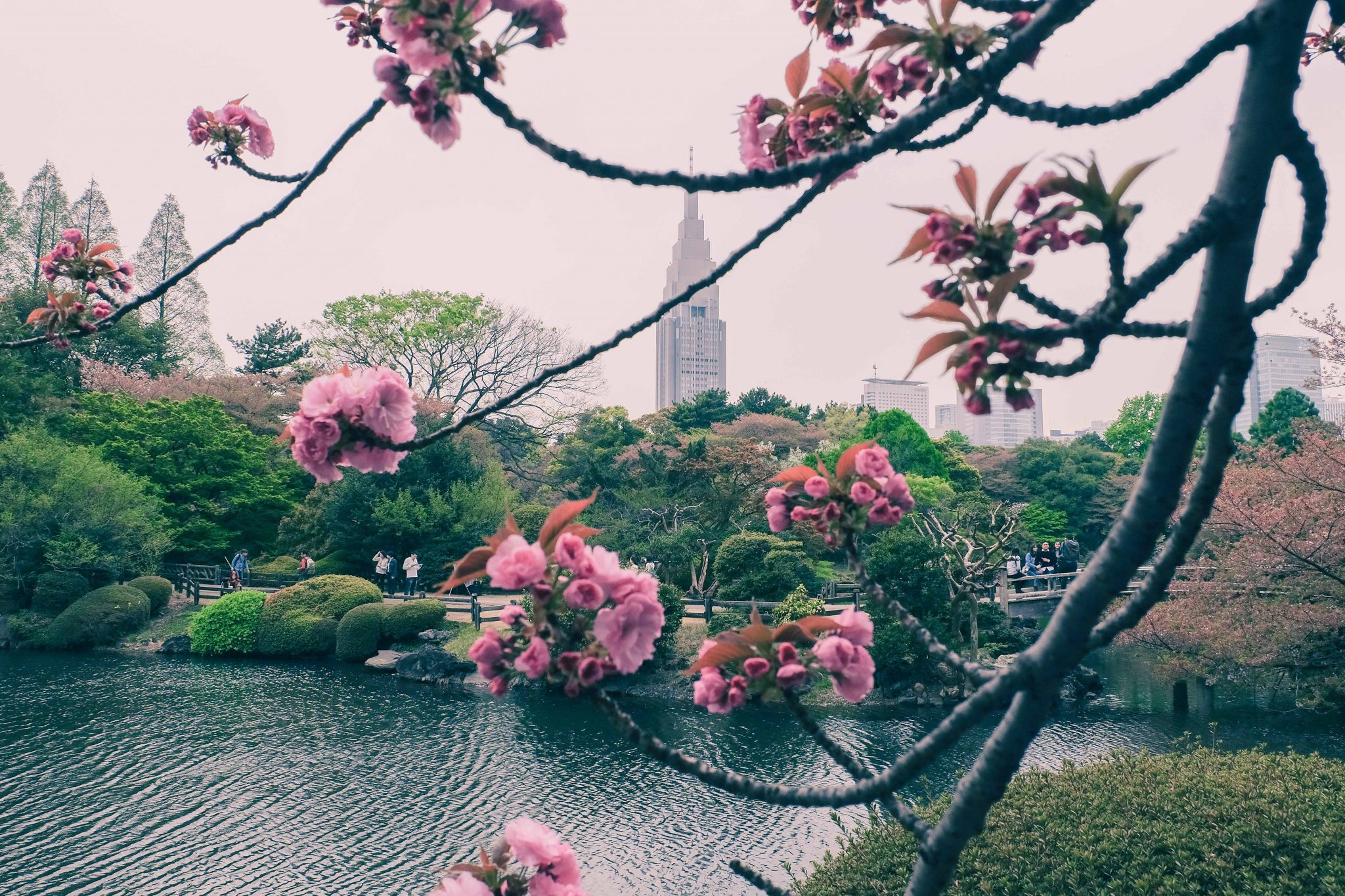 What is Japan famous for? Things that made Japan popular – You Could Travel
