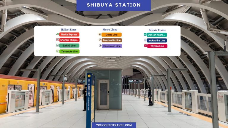 Complete Shibuya Area Guide – You Could Travel
