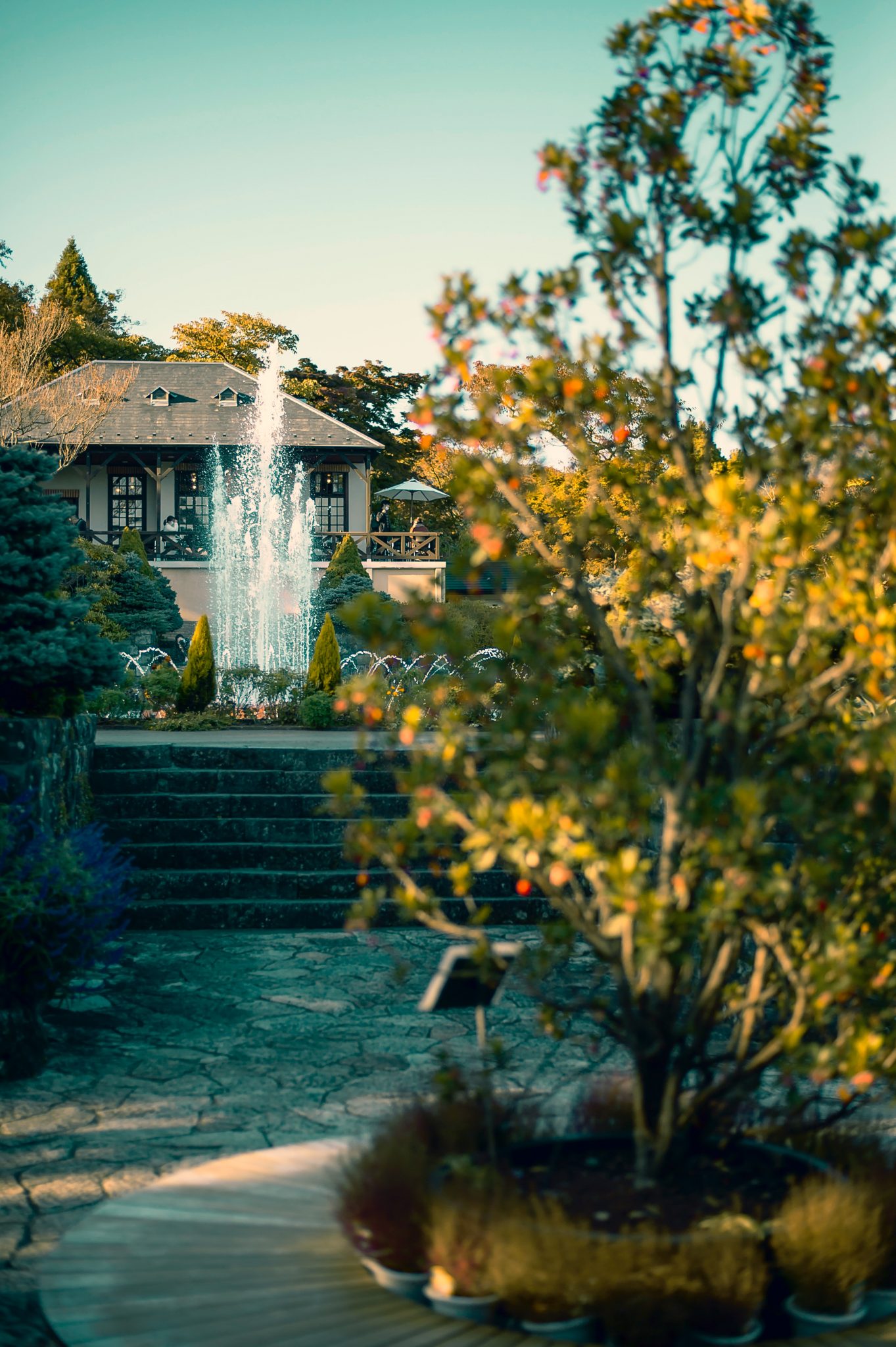 Best 15 Things to do In Hakone, Japan – You Could Travel