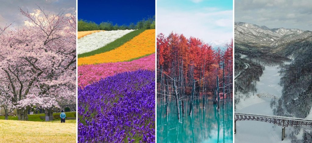 Best time to visit Hokkaido – You Could Travel