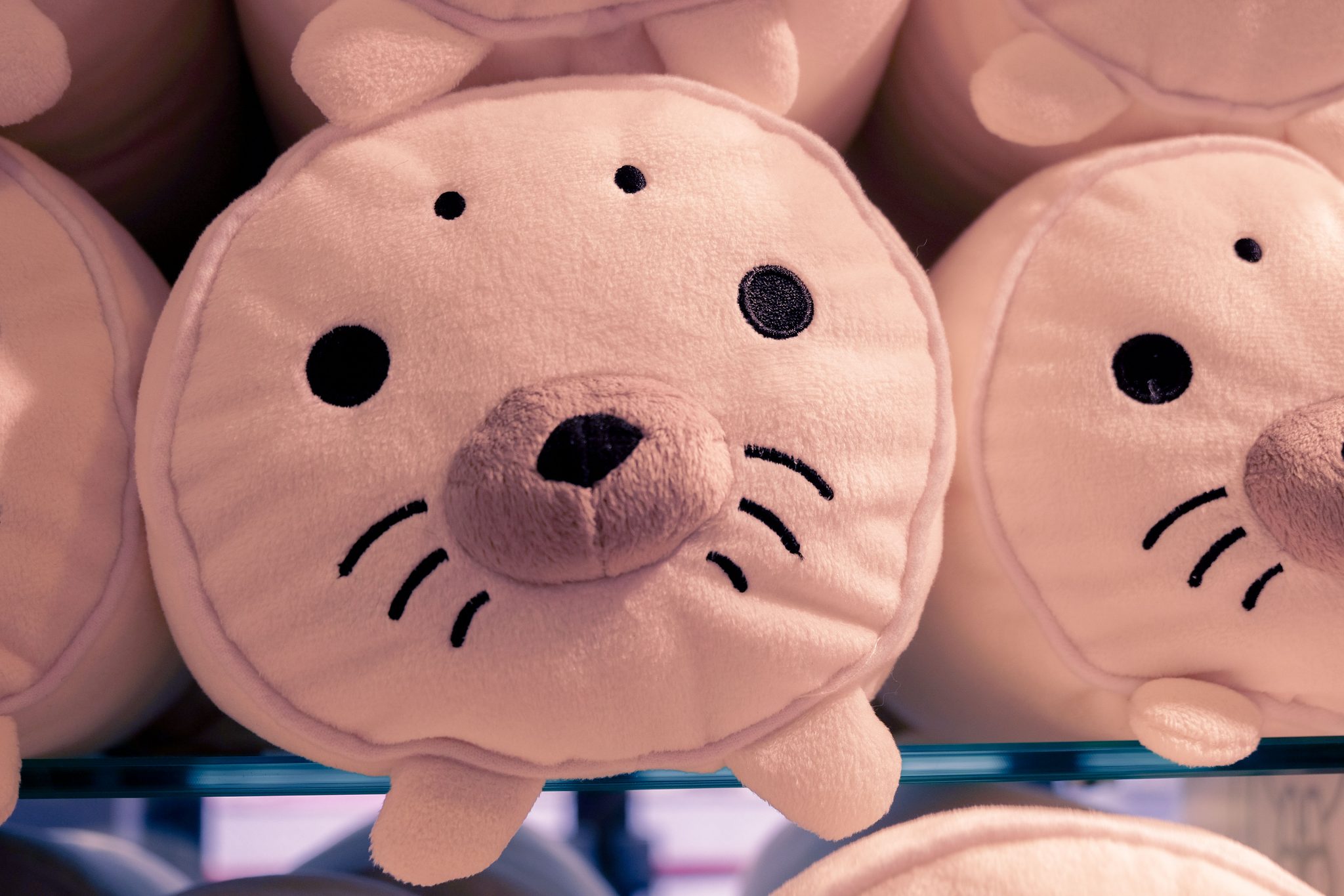 50+ Unique And Fun Souvenirs To Buy In Japan – You Could Travel