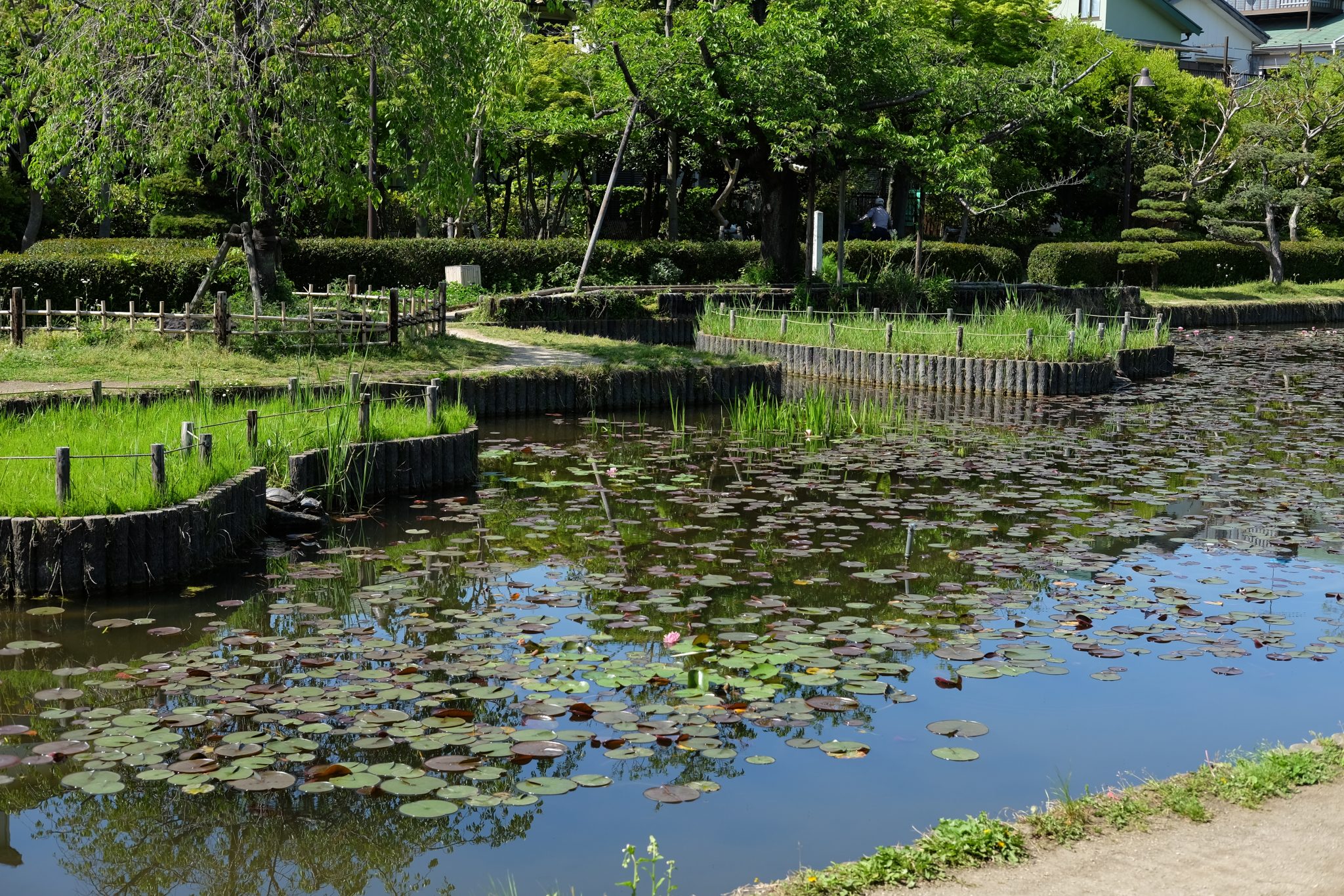 Best time to visit Kyoto: Month by month break down – You Could Travel