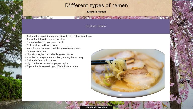 Different types of ramen – You Could Travel