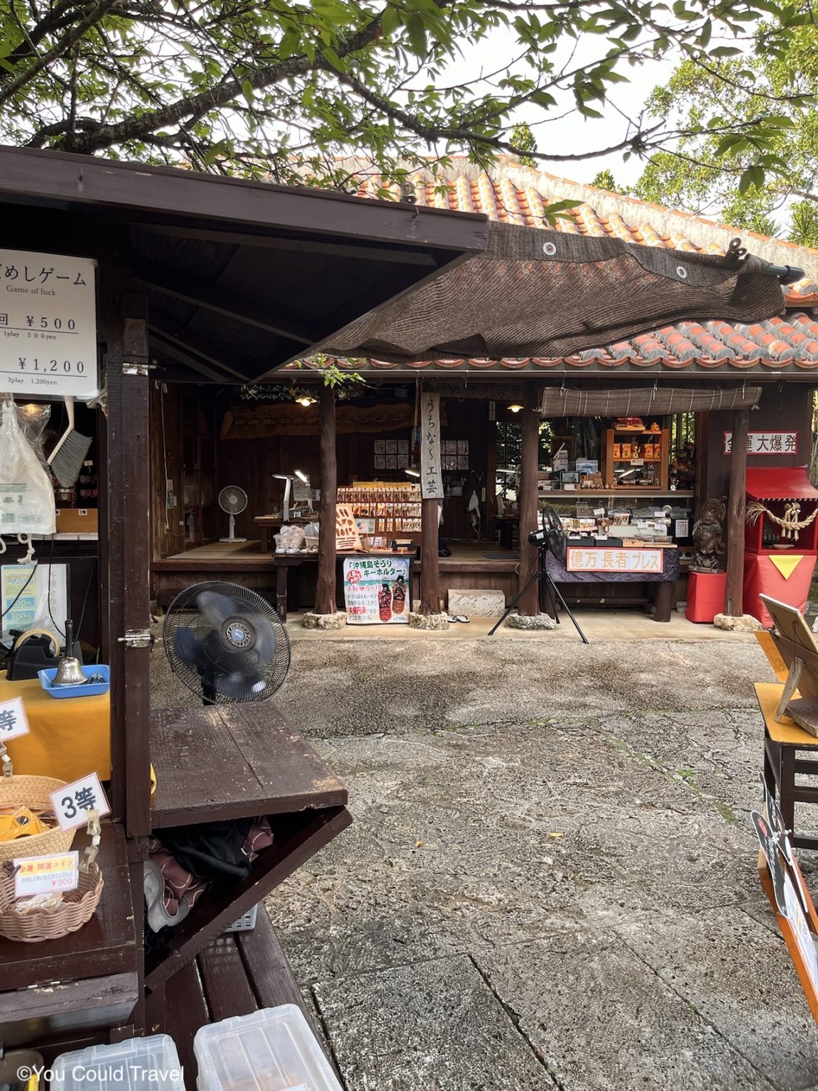 The perfect trip to Okinawa World – You Could Travel