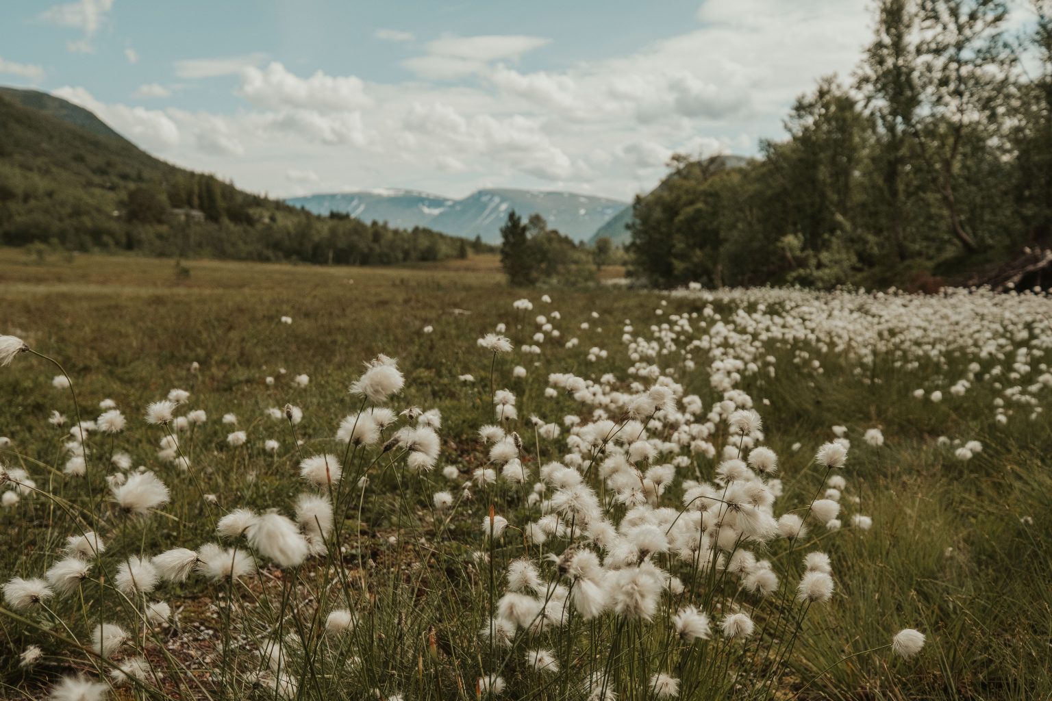 Our Scandinavia Itinerary for a charming Northern trip – You Could Travel