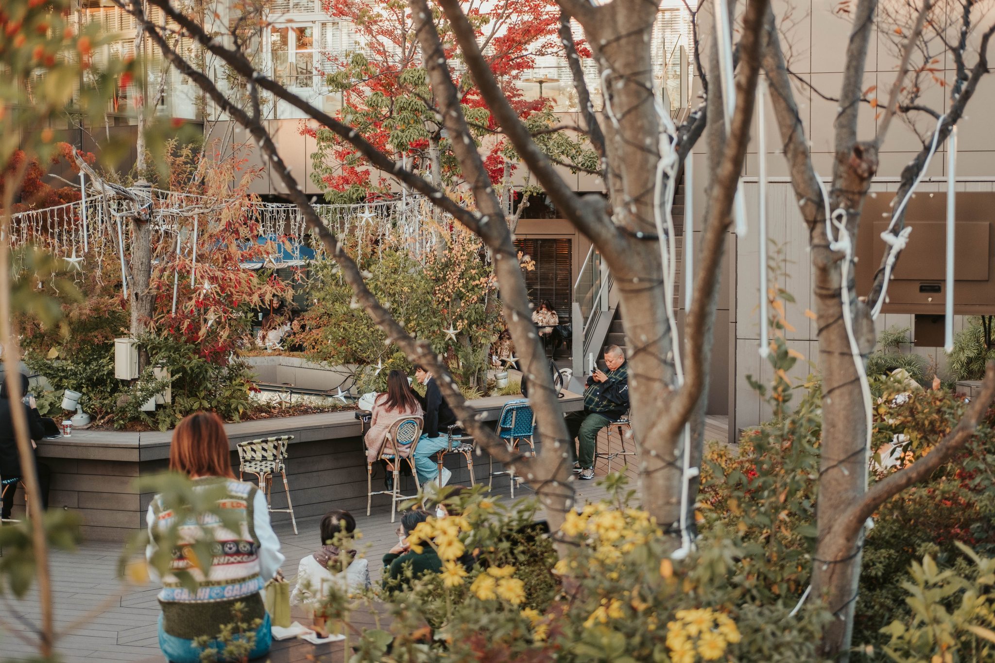 Tokyu Plaza Omotesando Harajuku – You Could Travel