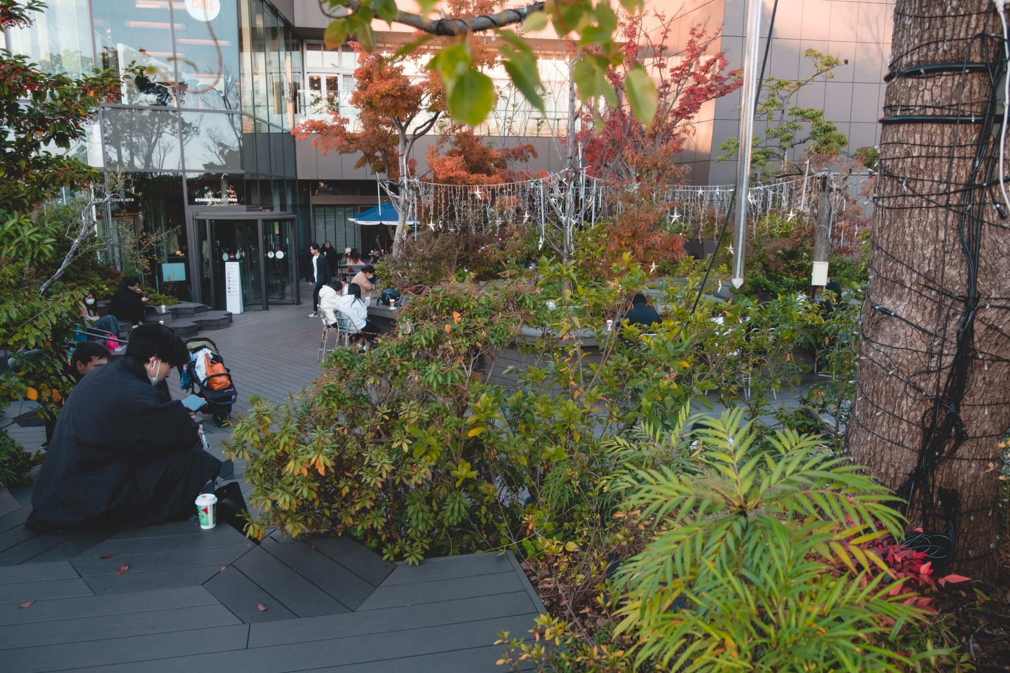 Tokyu Plaza Omotesando Harajuku – You Could Travel