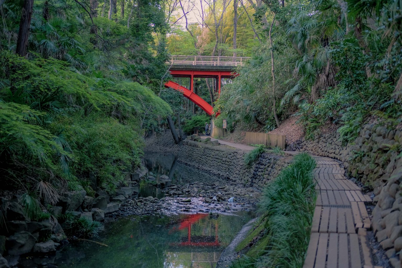 Best Places To Visit Outside Tokyo – You Could Travel