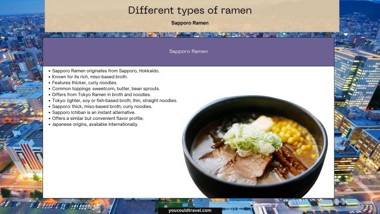 Different types of ramen – You Could Travel