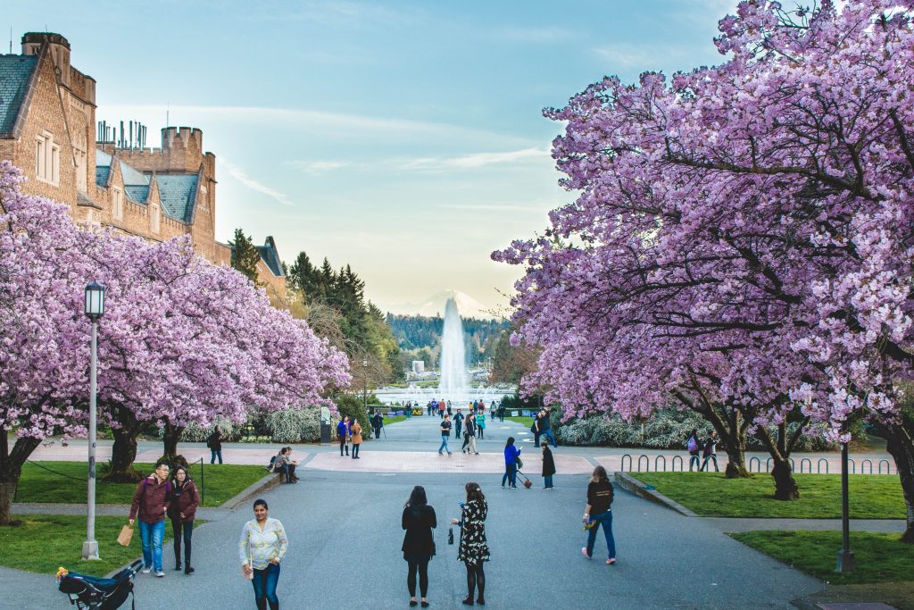 Where to stay in Seattle – You Could Travel