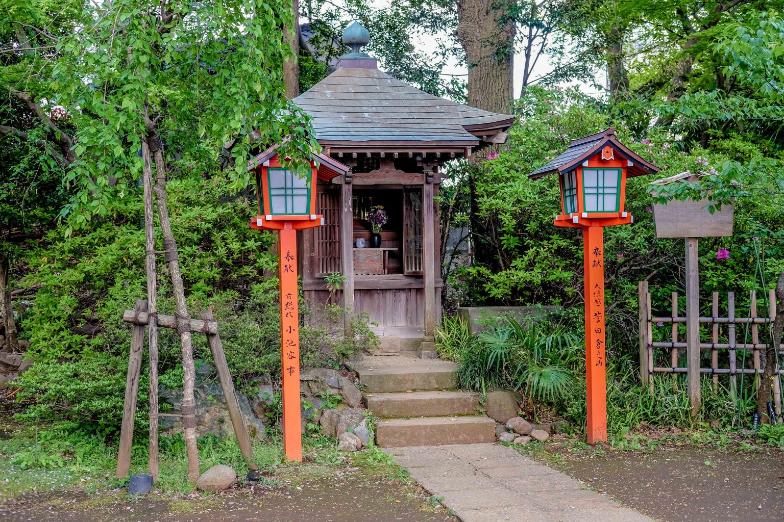 Travel Guide to Tokyo – You Could Travel