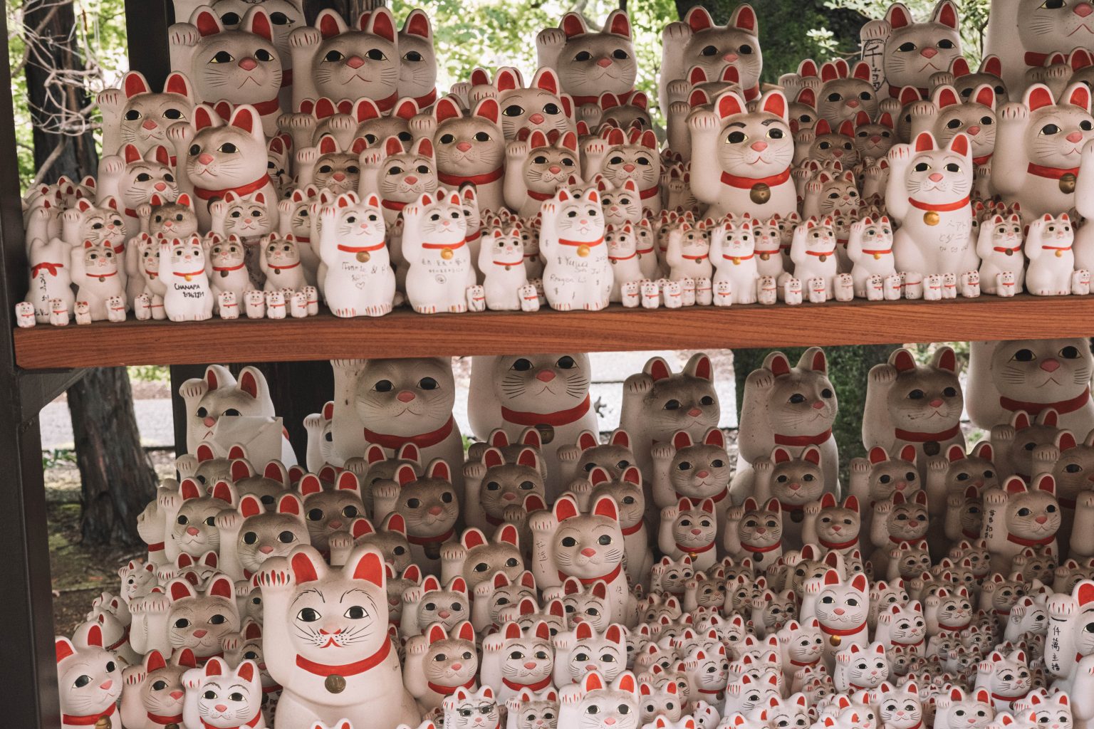 Gotokuji Temple: The Manekineko Temple in Tokyo – You Could Travel