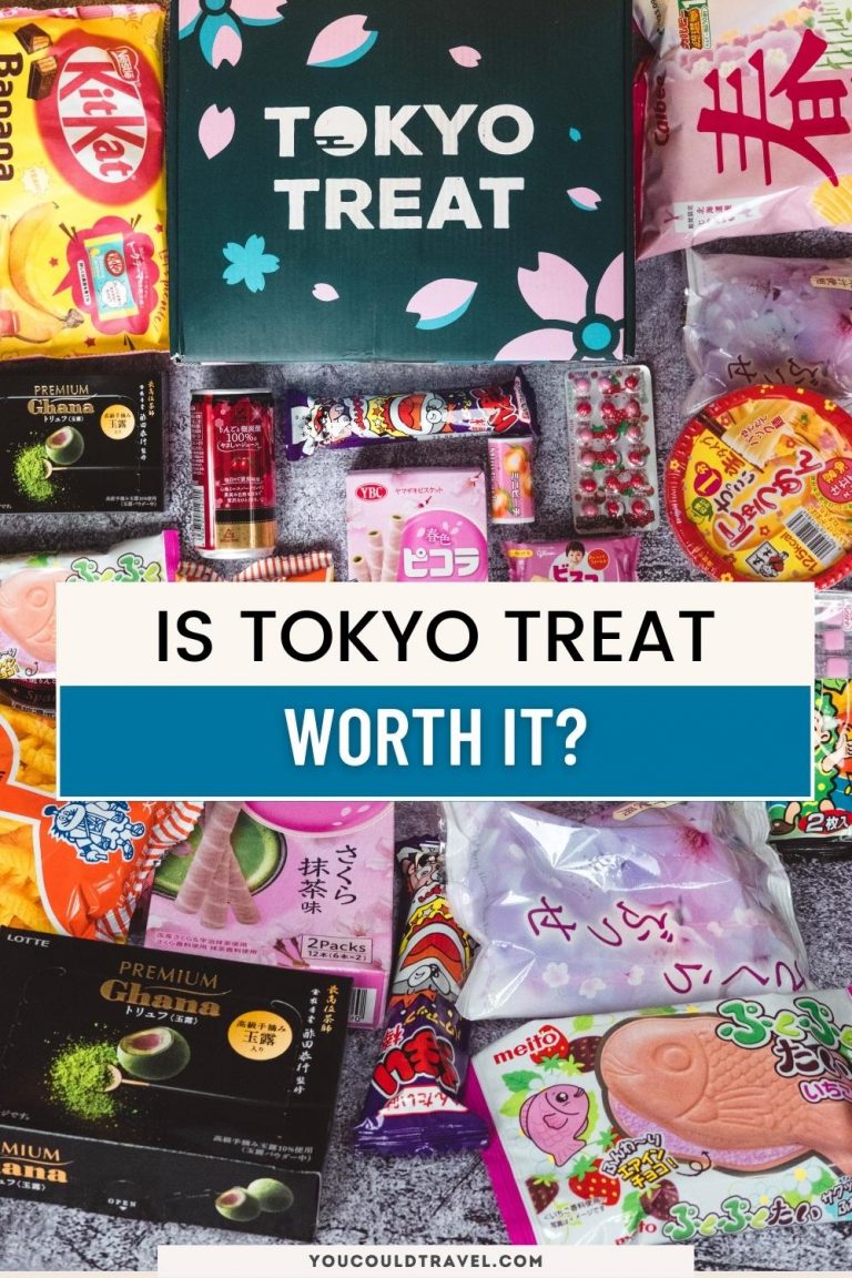Tokyo Treat Box Review – You Could Travel