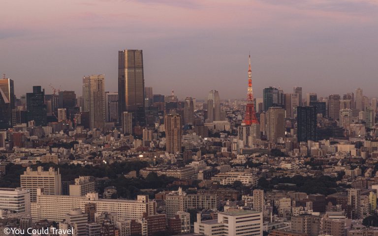 The Best Spots To See Tokyo From Above – You Could Travel