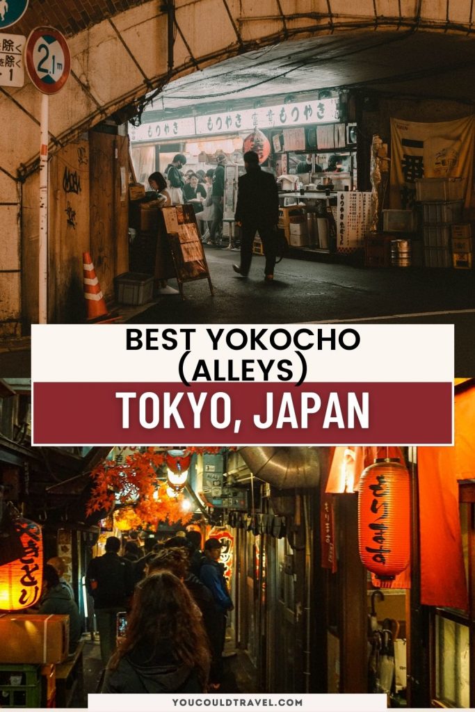 Best Yokocho: Tokyo alleys guide – You Could Travel