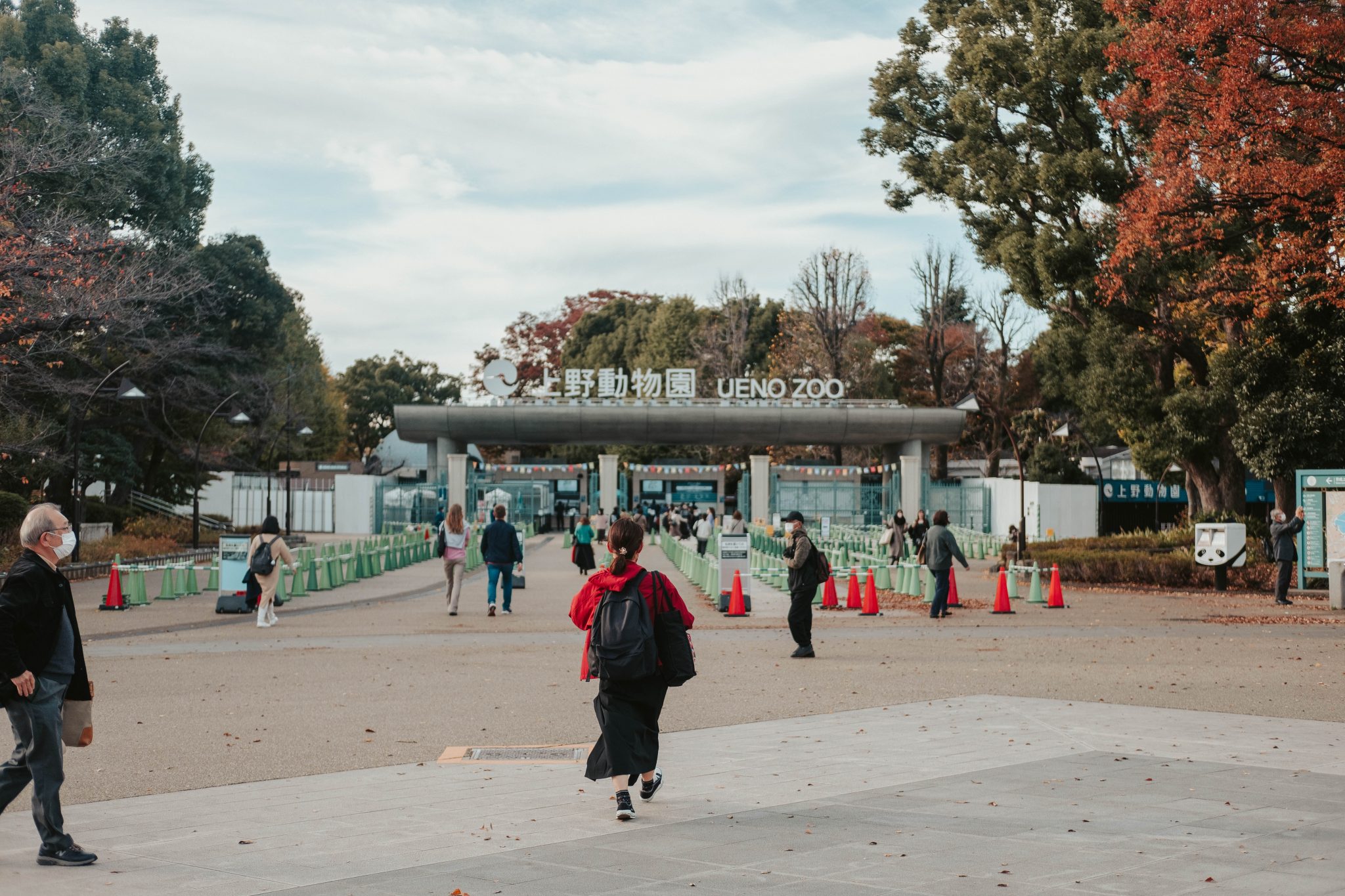 The Best Things To Do in Ueno Park (2024) – You Could Travel