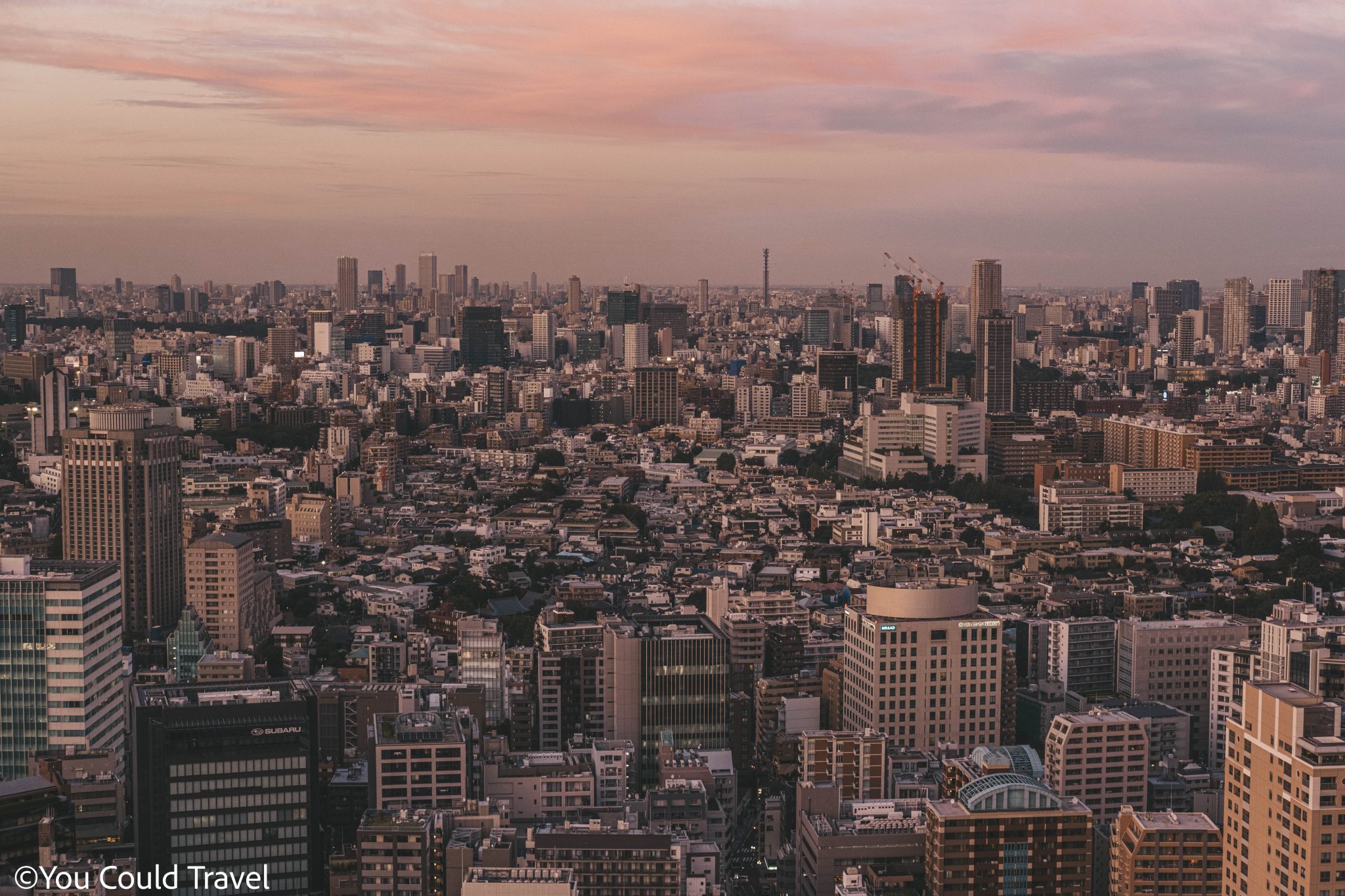 The Perfect Tokyo 3 Day Itinerary – You Could Travel
