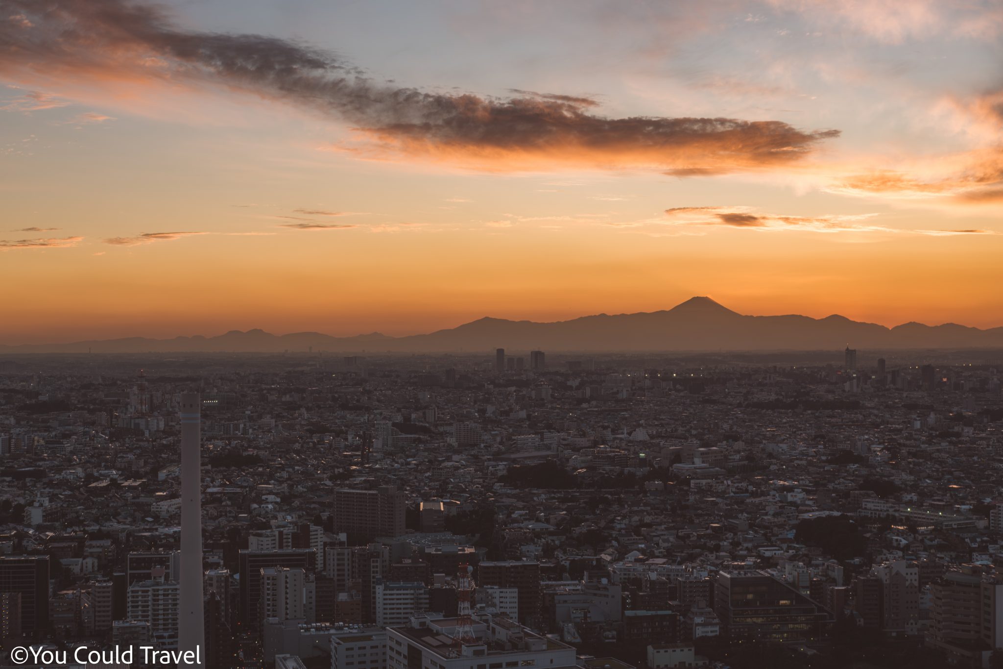The Best Spots To See Tokyo From Above – You Could Travel