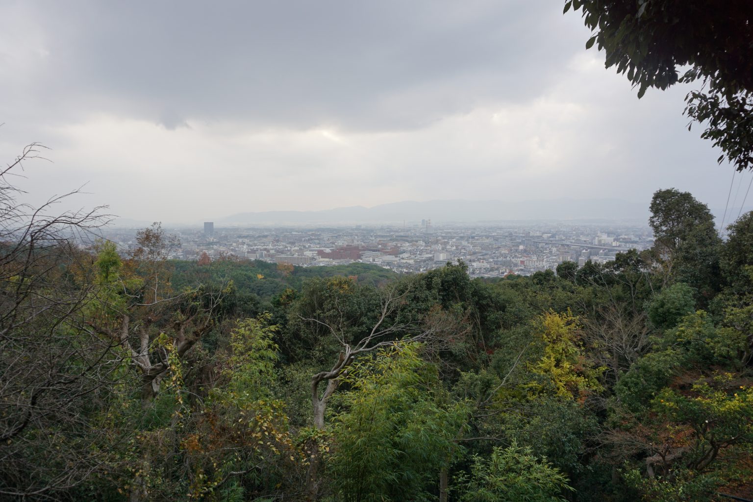 Guide to Fushimi Inari Shrine – You Could Travel